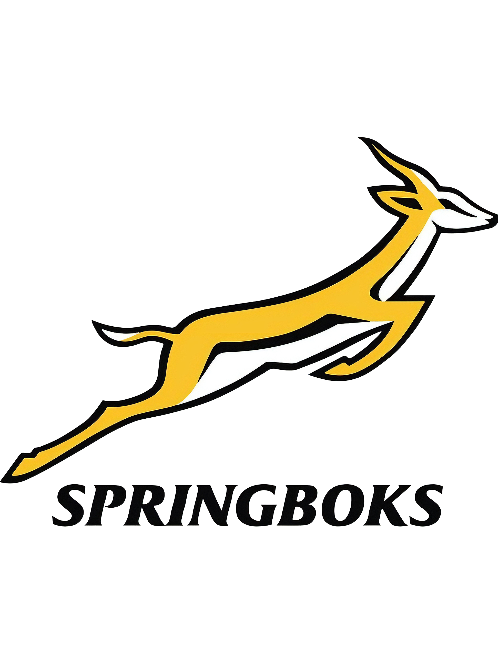 Springboks – Threadz